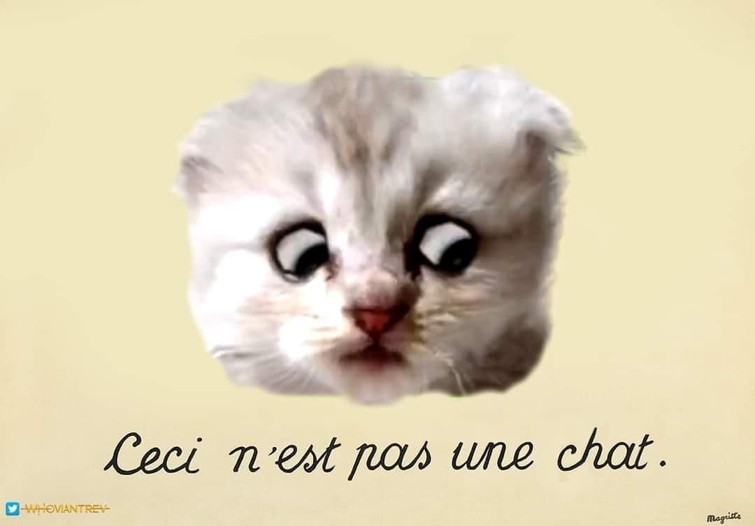 Forbidden memes that we can't post on Facebook - Medical Republic