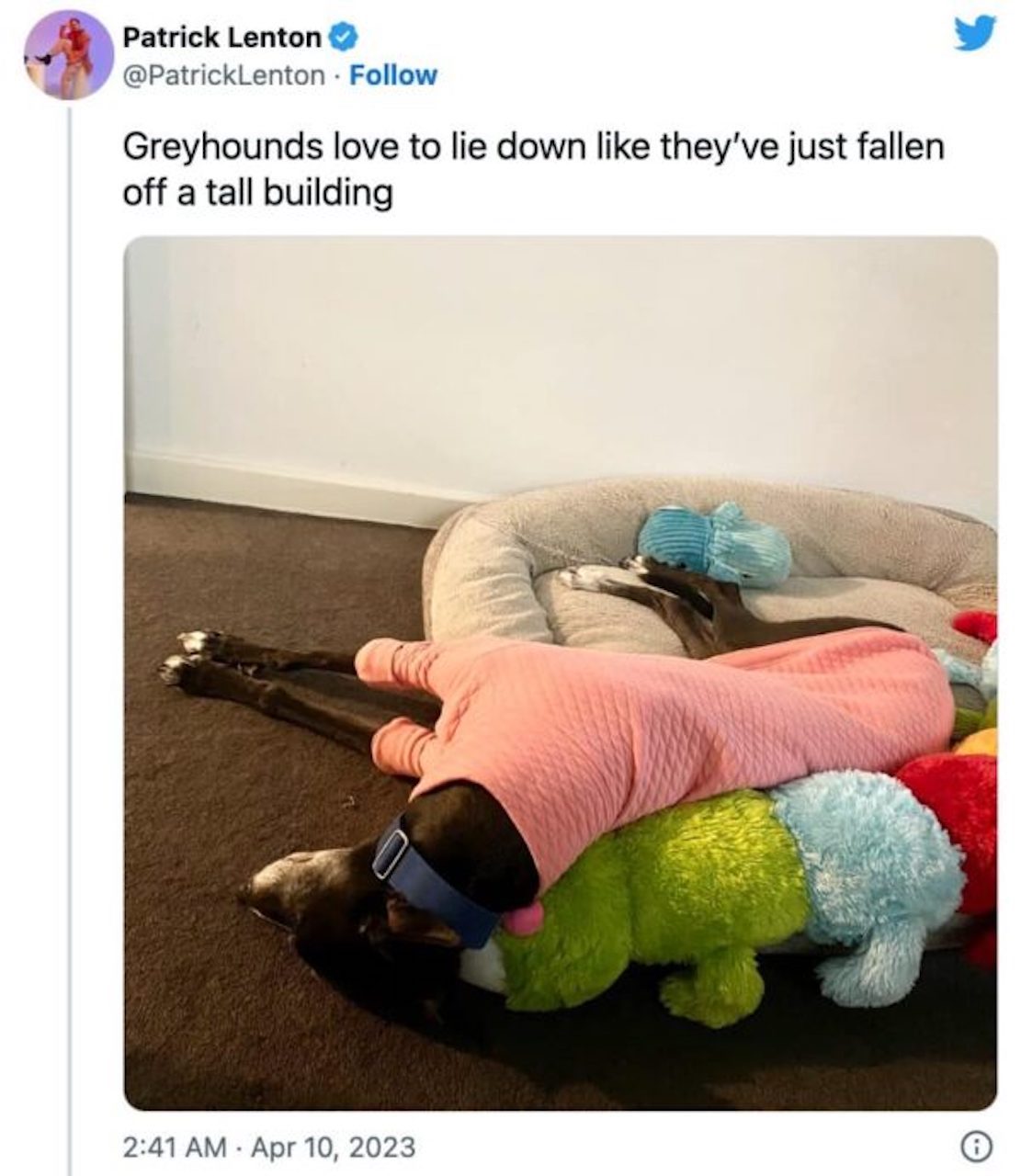 These memes lost repeatedly at 2up - Medical Republic