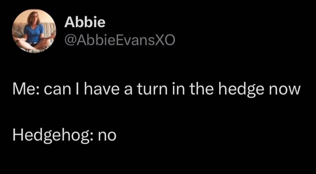 For memes you must answer these riddles three - Medical Republic