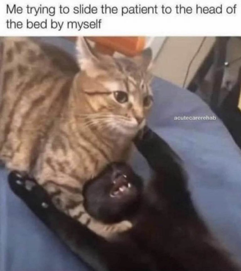 These memes were snubbed by the Oscars - Medical Republic