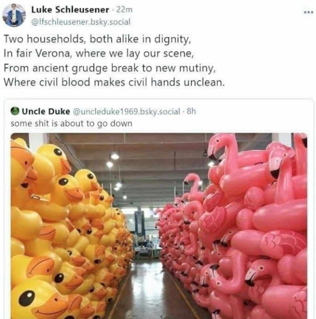 These memes are conducting an ancient ritual - Medical Republic